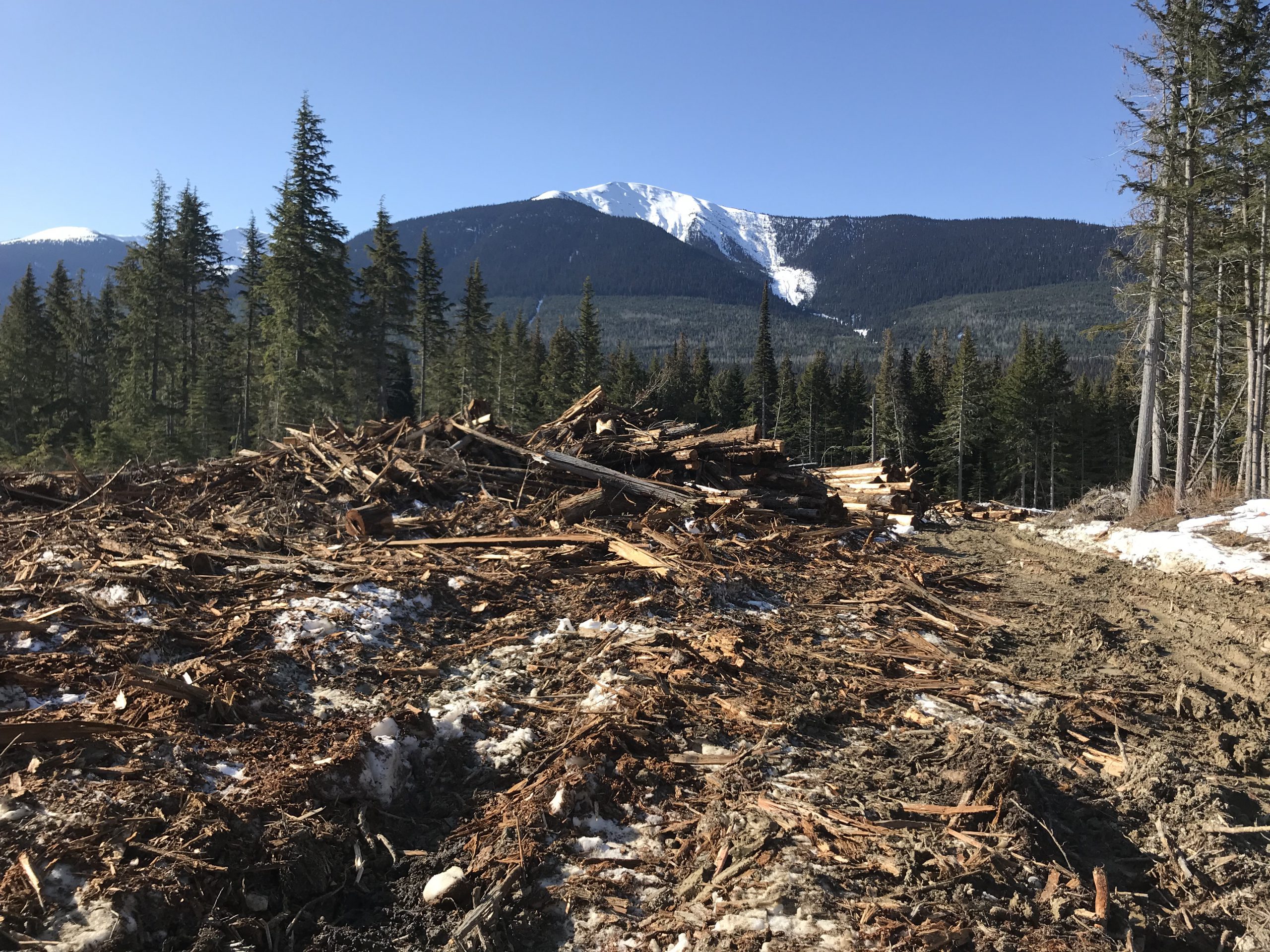 PacBio Complete McBride Residual Fibre Recovery Project – FESBC ...