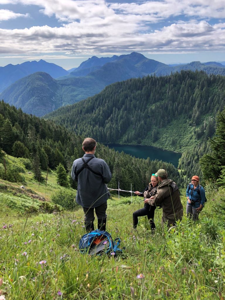 Endangered Vancouver Island Marmot Recovery – part of the $9.2 M for B ...
