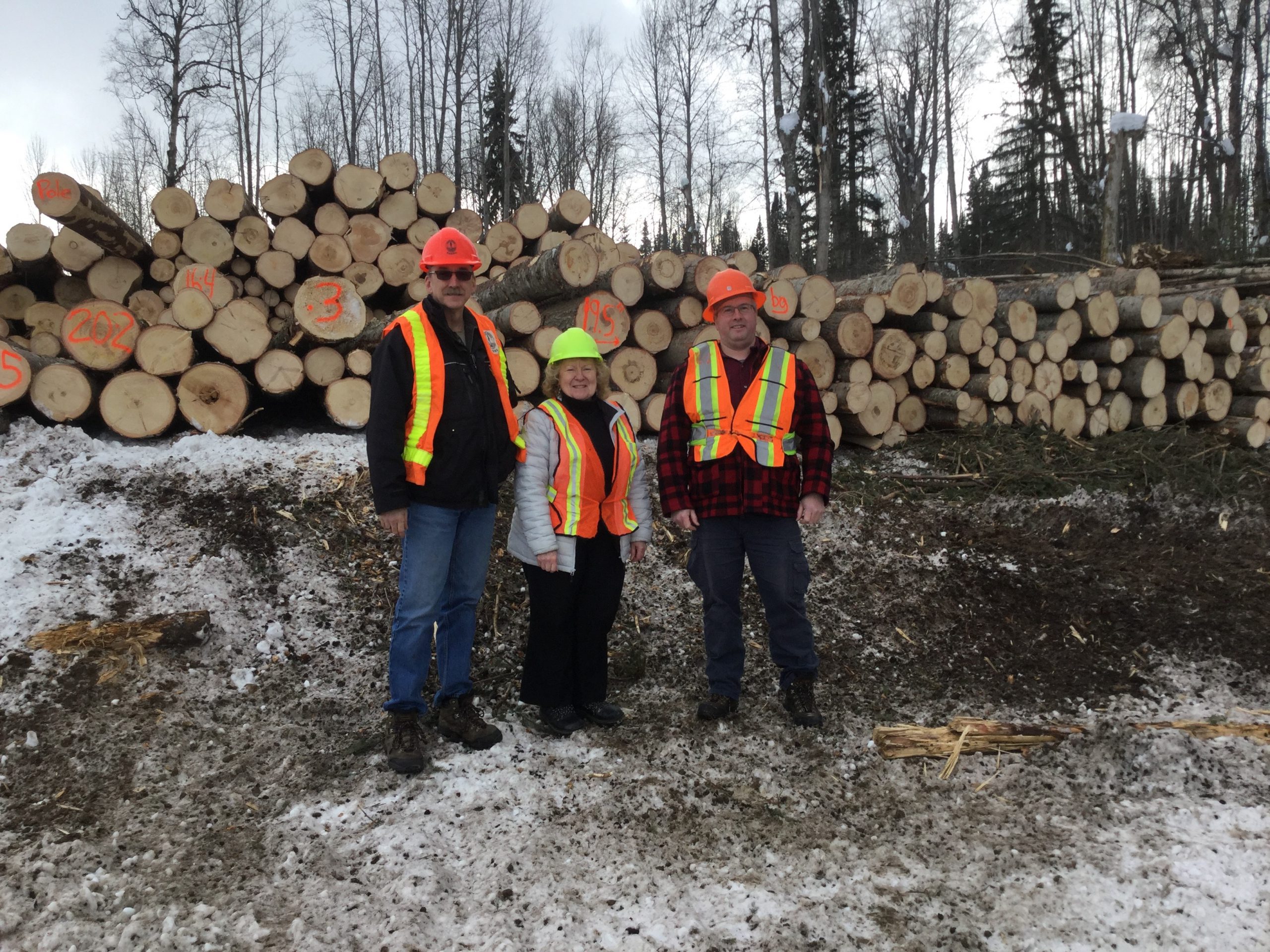Tree Buffer to Reduce Wildfire Risk for Granisle Residents – FESBC ...