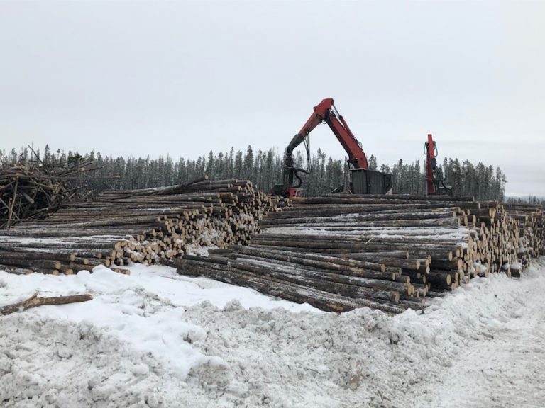 Mackenzie Mill Maximizes Wood Fibre with Grant: “It’s the Right Thing ...