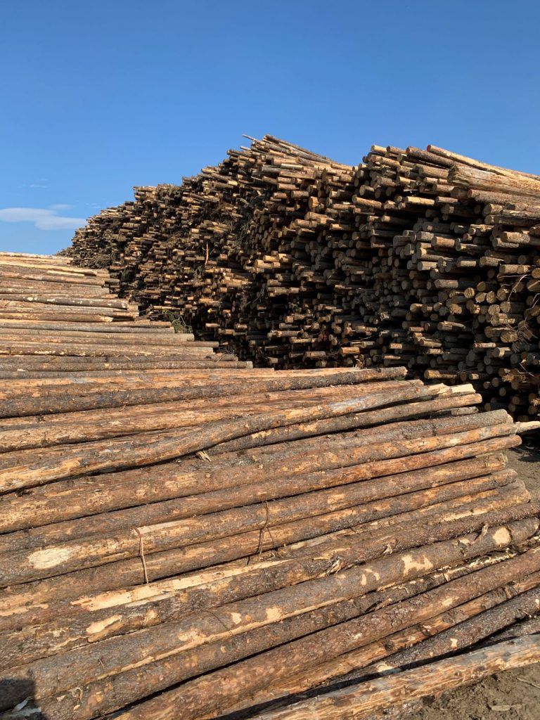 Mackenzie Mill Maximizes Wood Fibre with Grant: “It’s the Right Thing ...