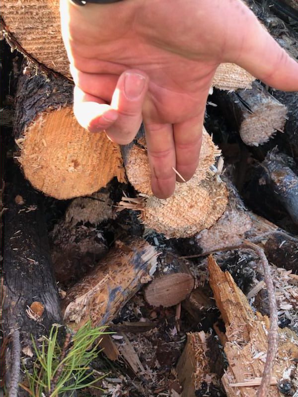 Mackenzie Mill Maximizes Wood Fibre with Grant: “It’s the Right Thing ...