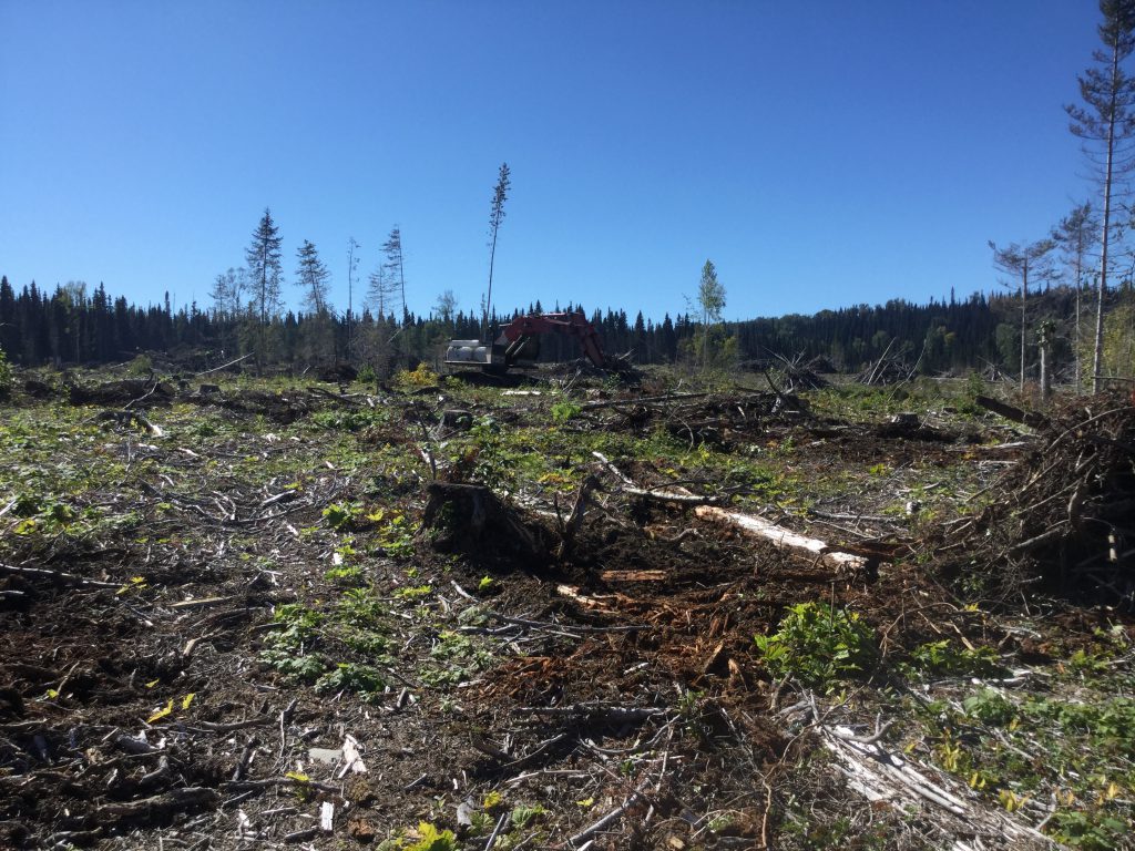 A Model of Success in Wildfire Risk Reduction – FESBC – Forest ...