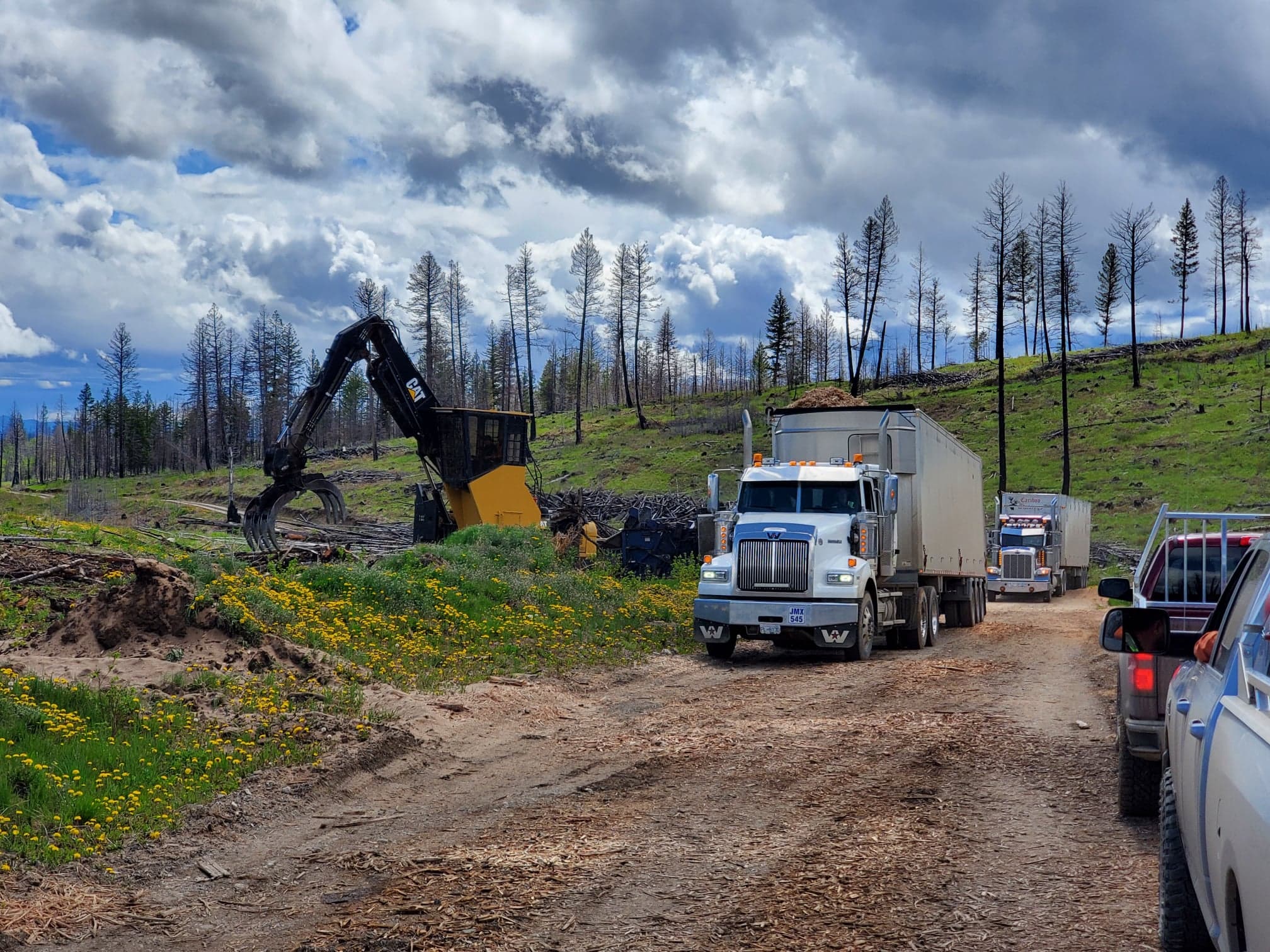 Six Newly Funded Forest Enhancement Projects in the Cariboo Region ...