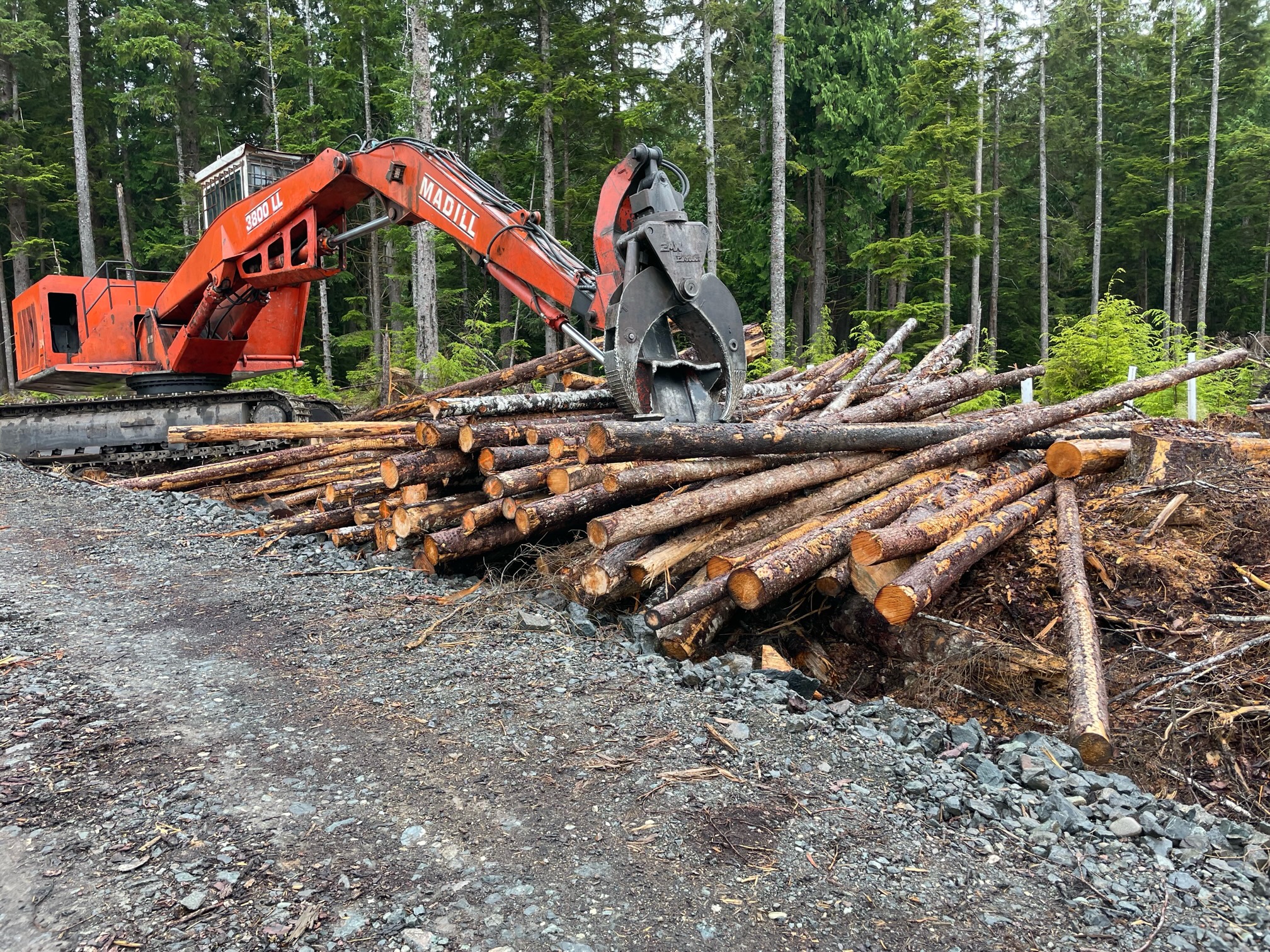 Nine Newly Funded Forest Enhancement Projects in the West Coast Region ...