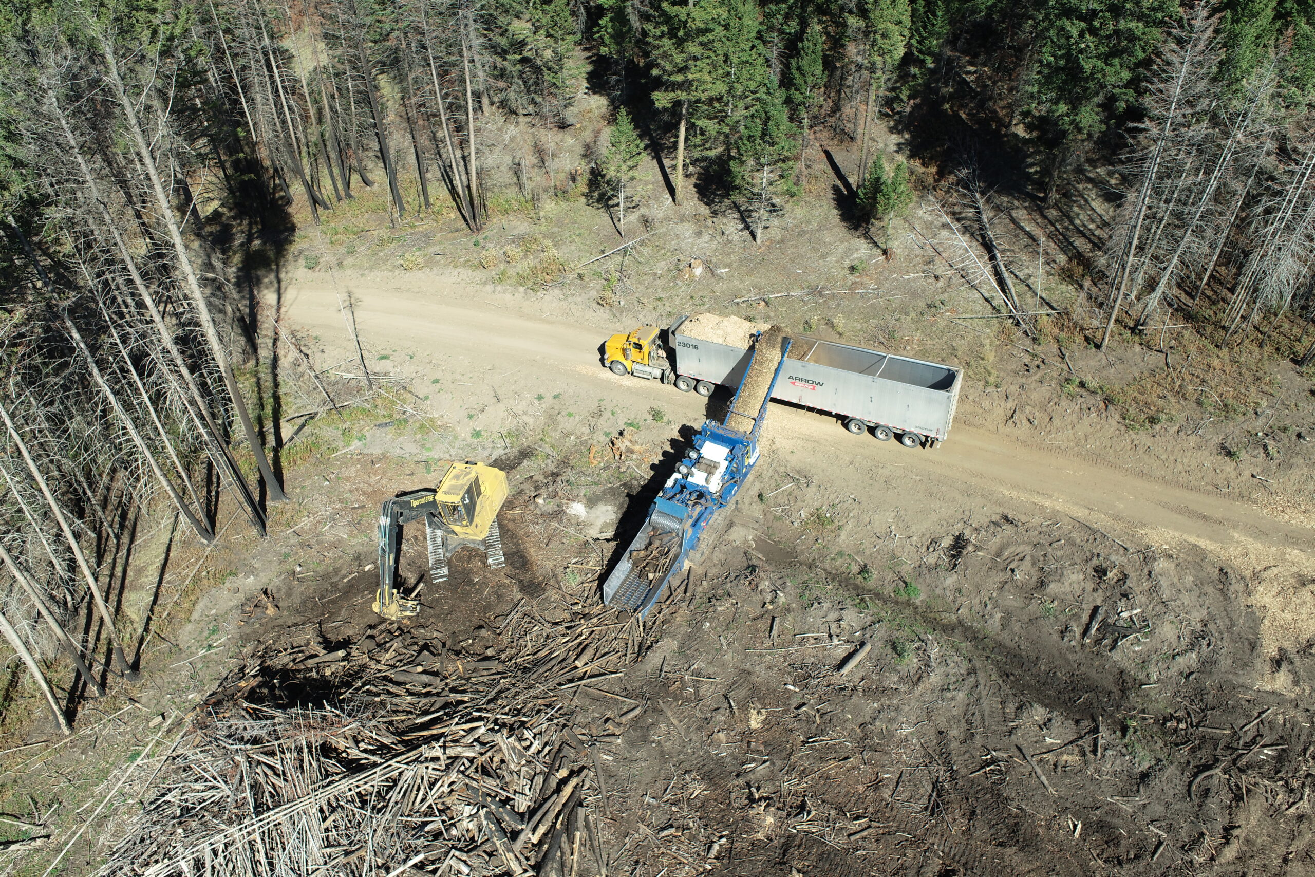 A Local Interior First Nation Takes the Lead to Add Value to Low-Value ...