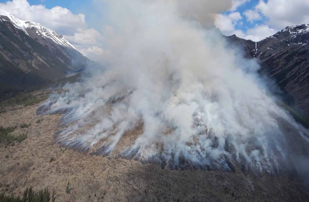 Truck Loggers Association Magazine Feature Story: Wildfire Strategies ...