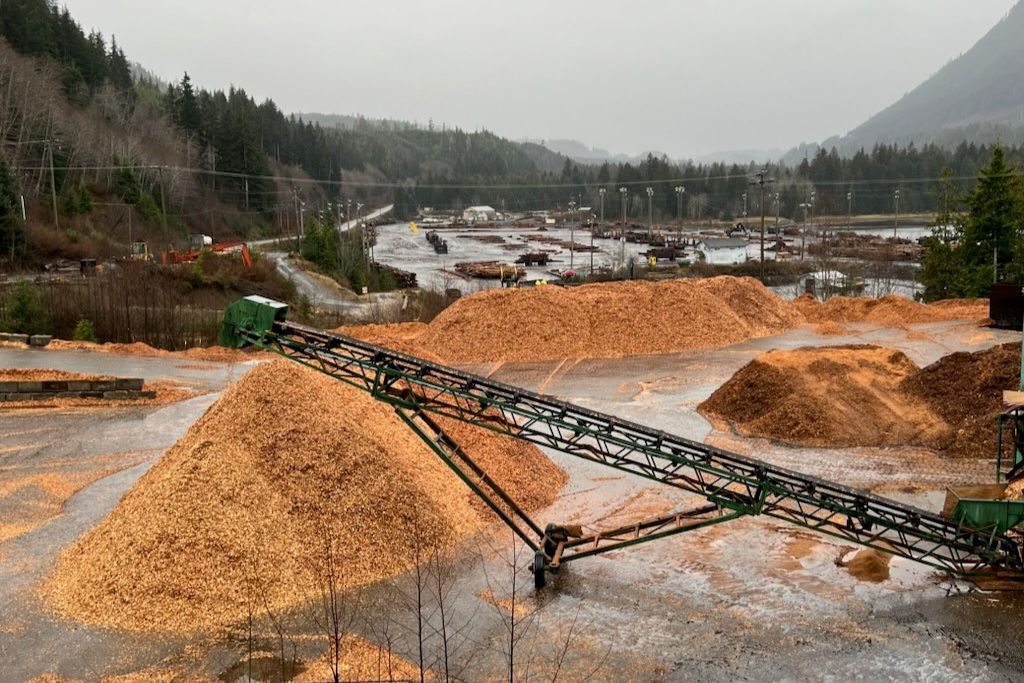 FESBC Welcomes Applications for Wildfire Risk Reduction and Enhanced ...