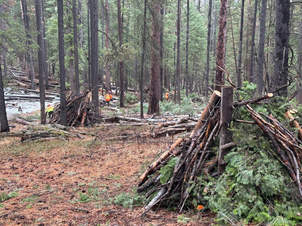 City of Kimberley Advances Wildfire Risk Reduction with Support from ...