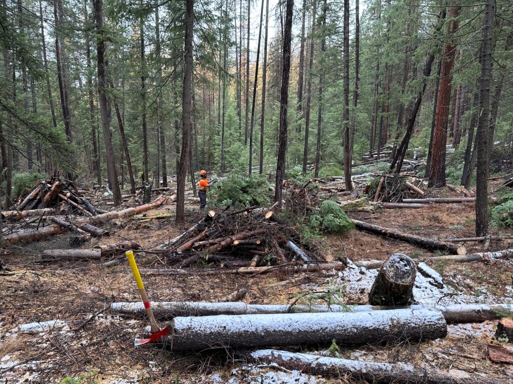 City of Kimberley Advances Wildfire Risk Reduction with Support from ...